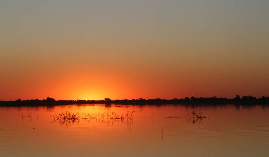 Chobe Riverfront | Chobe Botswana Safari | The Safari Store