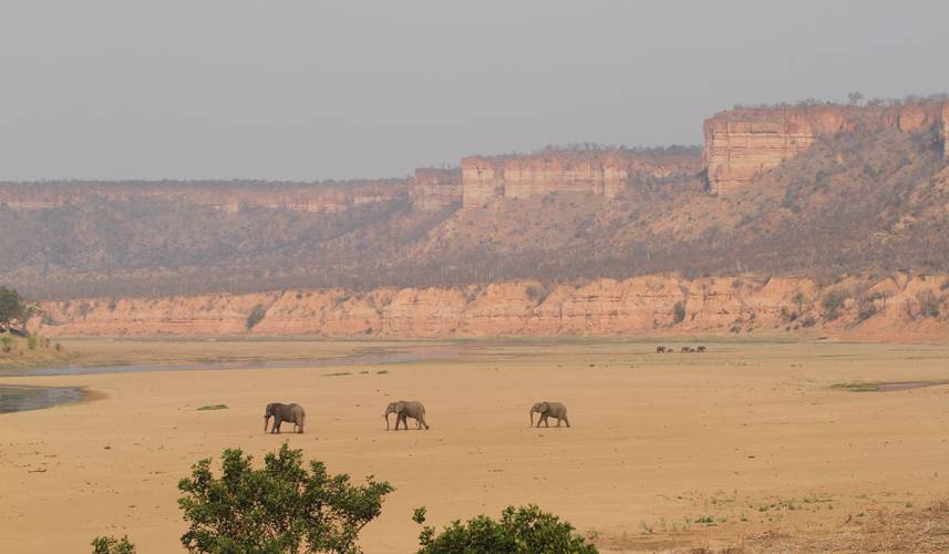 Gonarezhou National Park | Zimbabwe Safari |The Safari Store