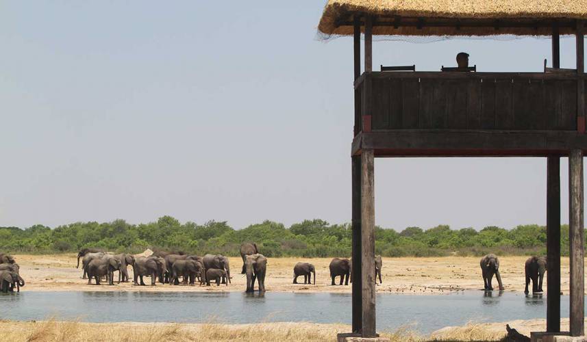 Hwange National Park | Safari Destination | The Safari Store