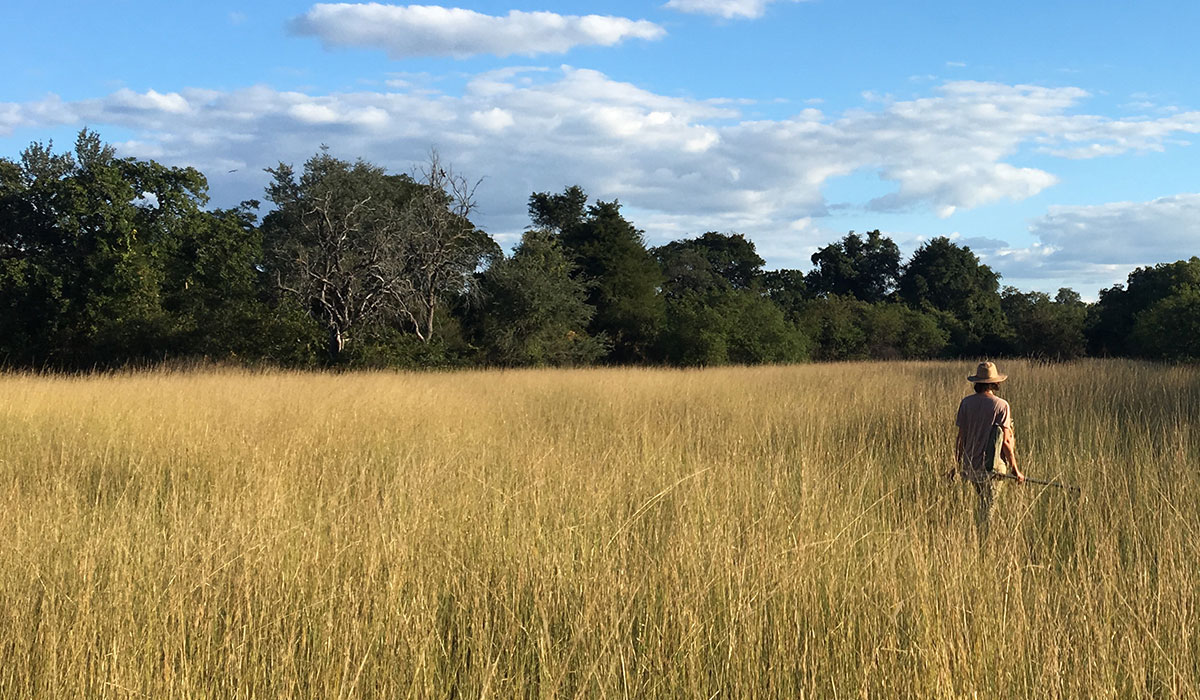 Top 5 Active Safaris in Africa | The Safari Store