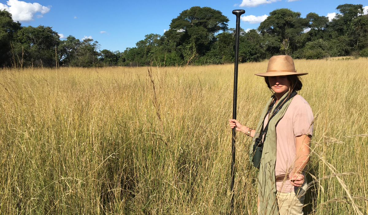 Safari gifts for her: best gift ideas for women