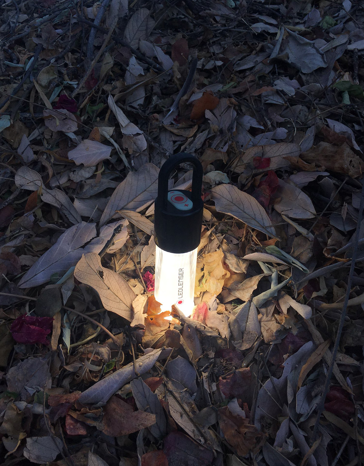 Safari & Outdoor Light: Ledlenser ML6 Lantern