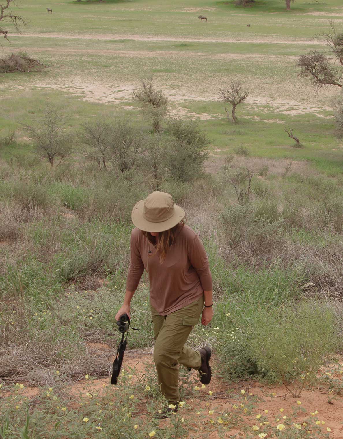 Adventurer Flat Packable Hat | Sun Hat | The Safari Store